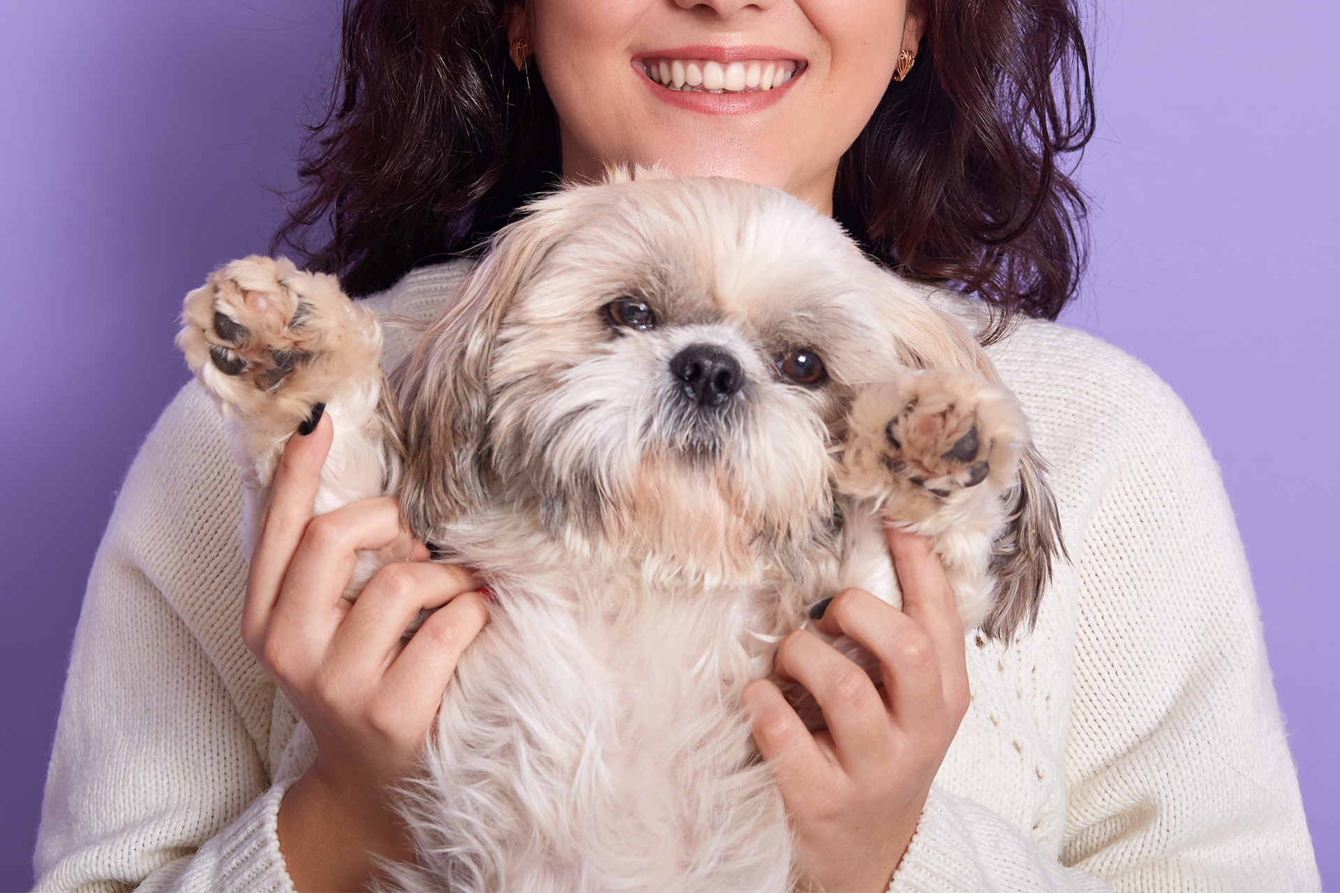 Consent Form | Northmont Animal Clinic